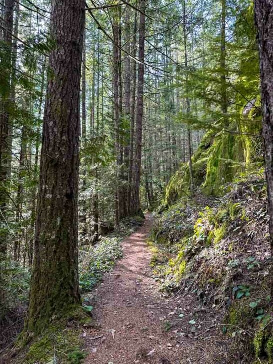 Brohm Lake Hike in Squamish (By a Local)