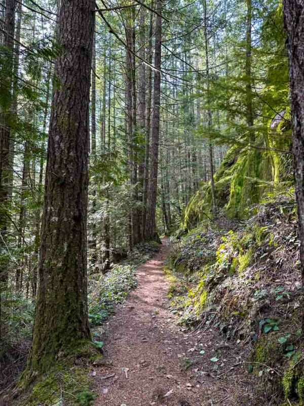 Brohm Lake Hike in Squamish (By a Local)