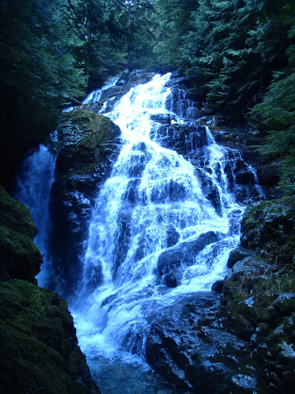 Kennedy Falls and the Big Cedar | Happiest Outdoors
