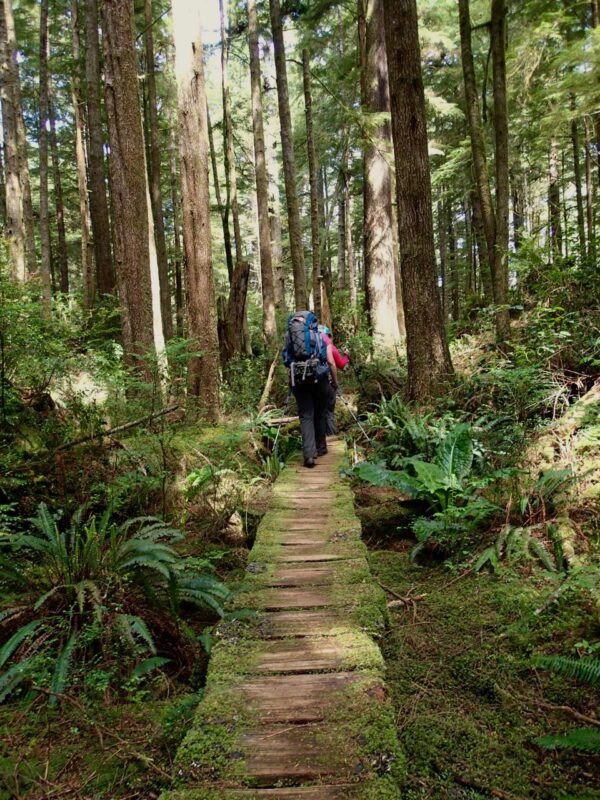 Wild Side Trail: Hiking and Camping Guide