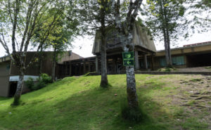 Wild Side Trail: Hiking and Camping Guide