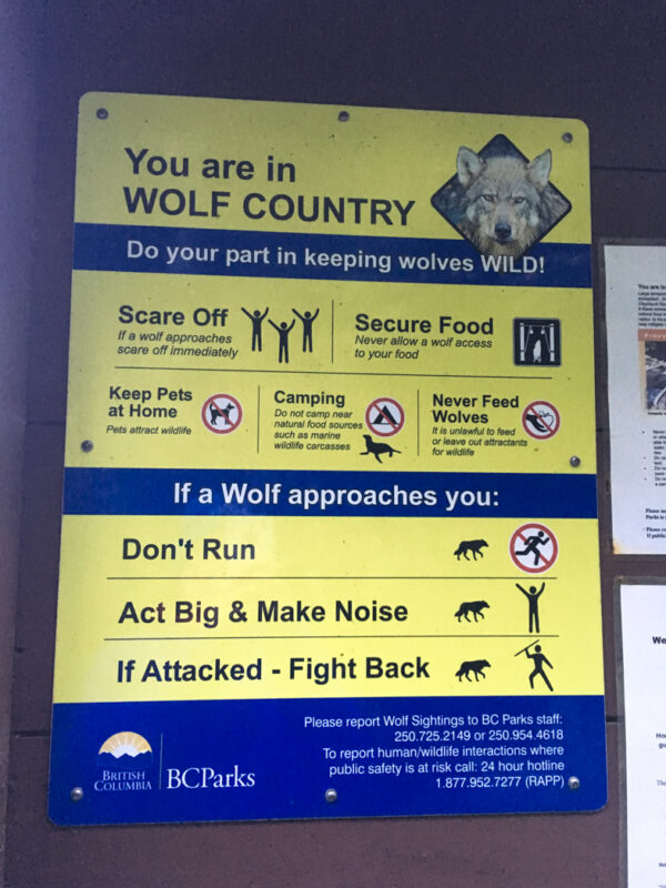 Wild Side Trail: Hiking and Camping Guide