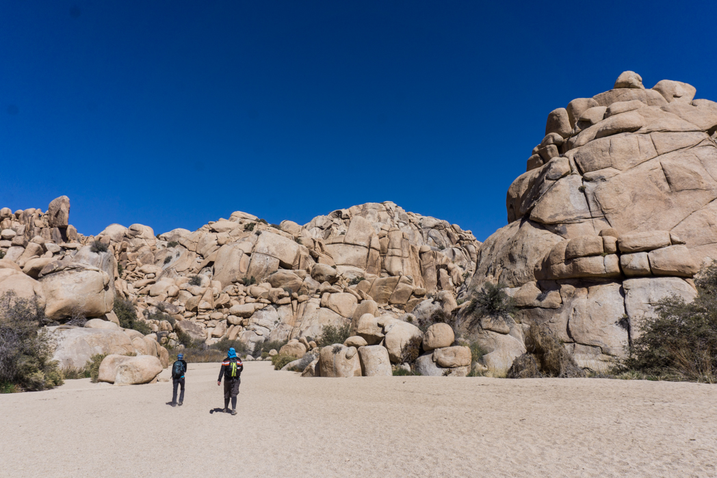 18 Awesome Things to Do in Joshua Tree National Park - Happiest Outdoors