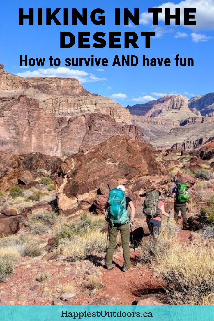 Tips and Tricks for Hiking in the Desert - Happiest Outdoors