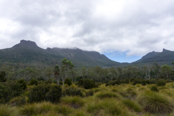 Overland Track Huts and Camping