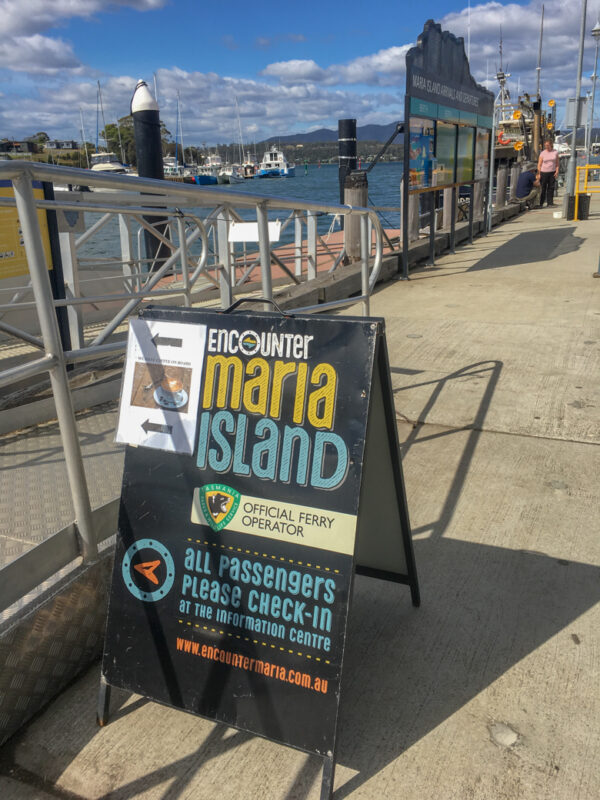 How to Visit Maria Island, Tasmania