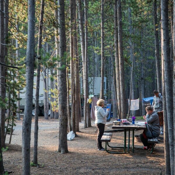 Camping in Yellowstone in 2025: Everything You Need to Know