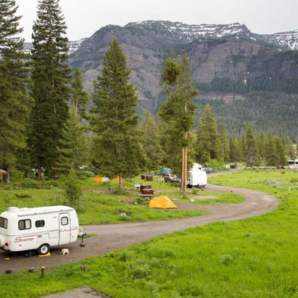 Camping In Yellowstone In 2025 Everything You Need To Know