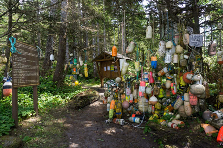 Cape Scott Trail Guide: Hiking and Camping on Northern Vancouver Island