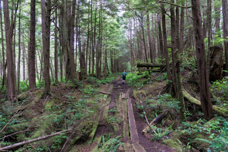 Cape Scott Trail Guide: Hiking and Camping on Northern Vancouver Island