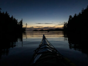 Kayaking in the Johnstone Strait: Everything You Need to Know
