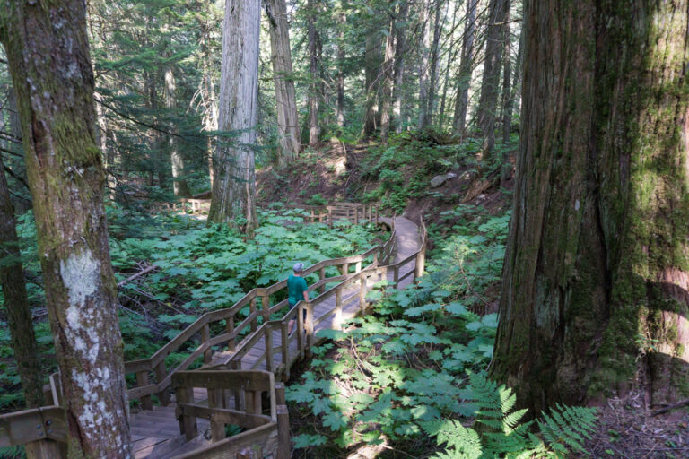 The Best Hikes in Revelstoke, BC
