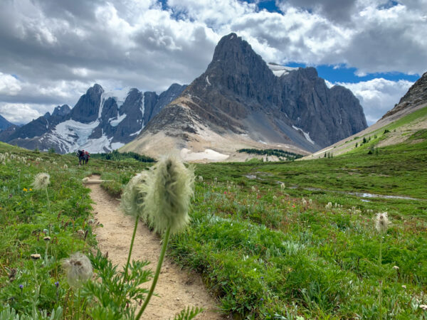 Rockwall Trail Guide: Everything You Need to Know