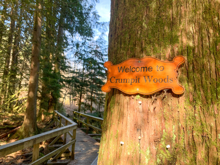 Hike to Mount Crumpit in Squamish