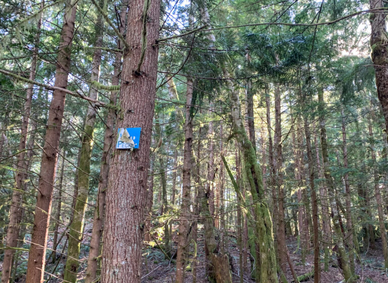 Hike to Mount Crumpit in Squamish