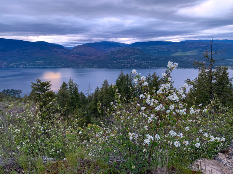 30+ Things to Do in Vernon, BC