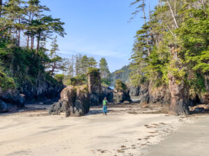 Things to do on Northern Vancouver Island
