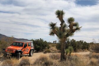 18 Awesome Things to Do in Joshua Tree National Park
