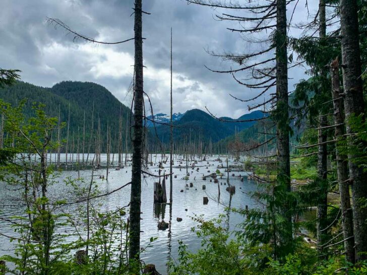 Della Falls Trail Hiking Guide (Vancouver Island Backpacking)