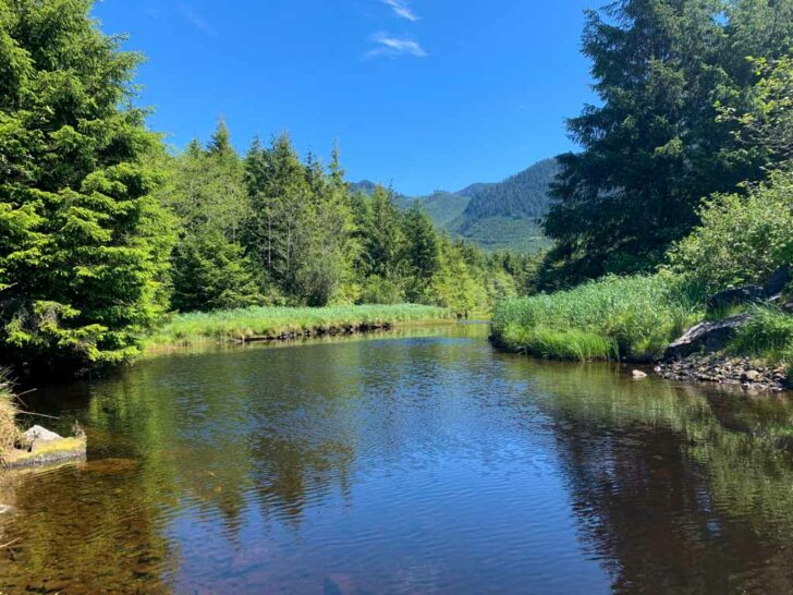 Tatchu Trail Guide: Vancouver Island Coastal Backpacking - Happiest ...