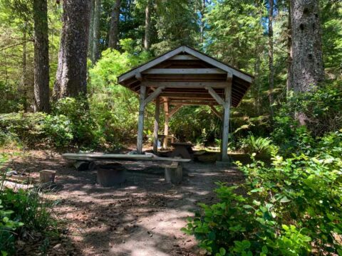 Tatchu Trail Guide: Vancouver Island Coastal Backpacking