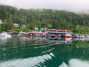 Tatchu Trail Guide: Vancouver Island Coastal Backpacking