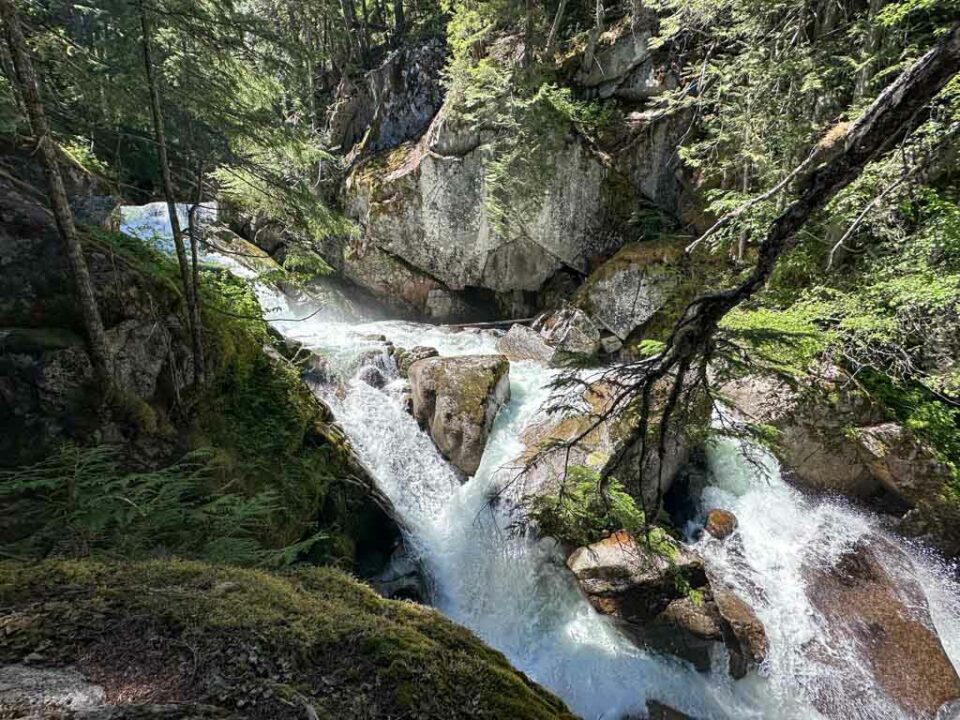 Rainbow Falls Loop Trail in Whistler