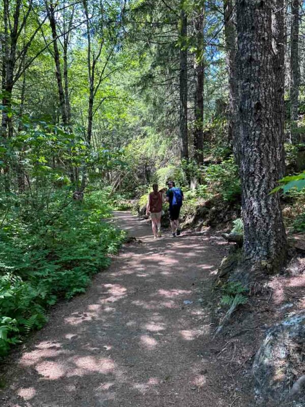 Whistler Train Wreck Hike