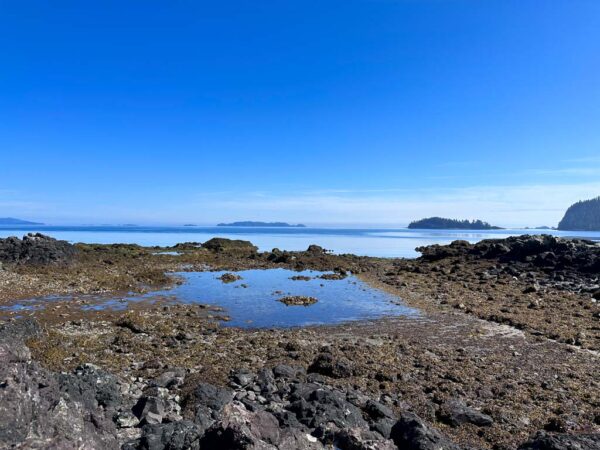 Things to Do in Haida Gwaii