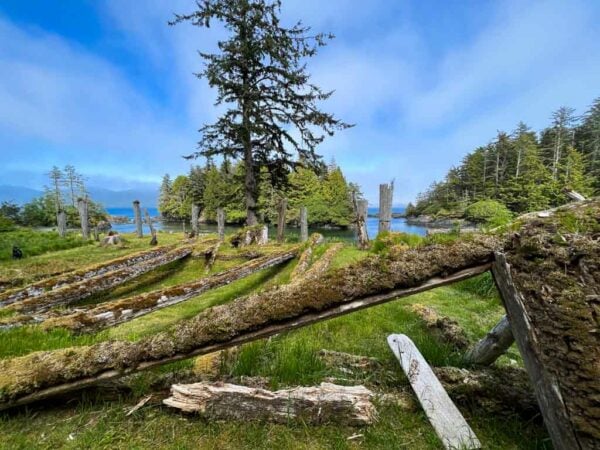 The Ultimate Guide to Gwaii Haanas National Park Reserve