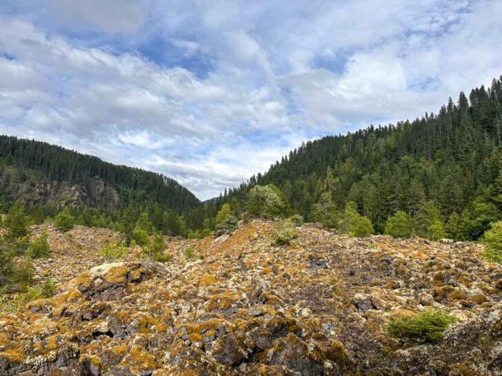 Things to do in the Nass Valley (Nisga'a Territory) in Northern BC