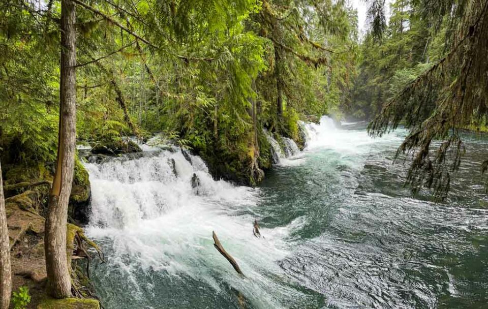 Things to do in the Nass Valley (Nisga'a Territory) in Northern BC