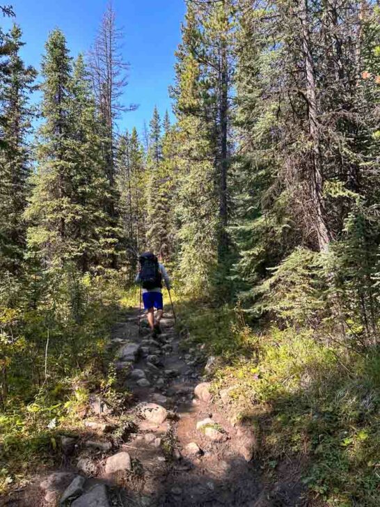 Hike the Skyline Trail in Jasper National Park