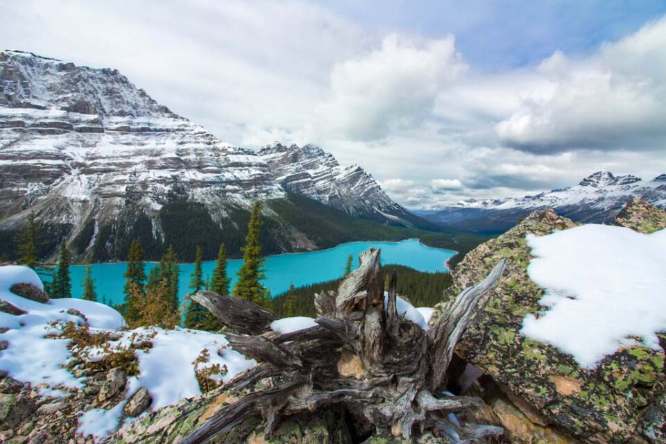 Best Things to Do in Banff in the Spring