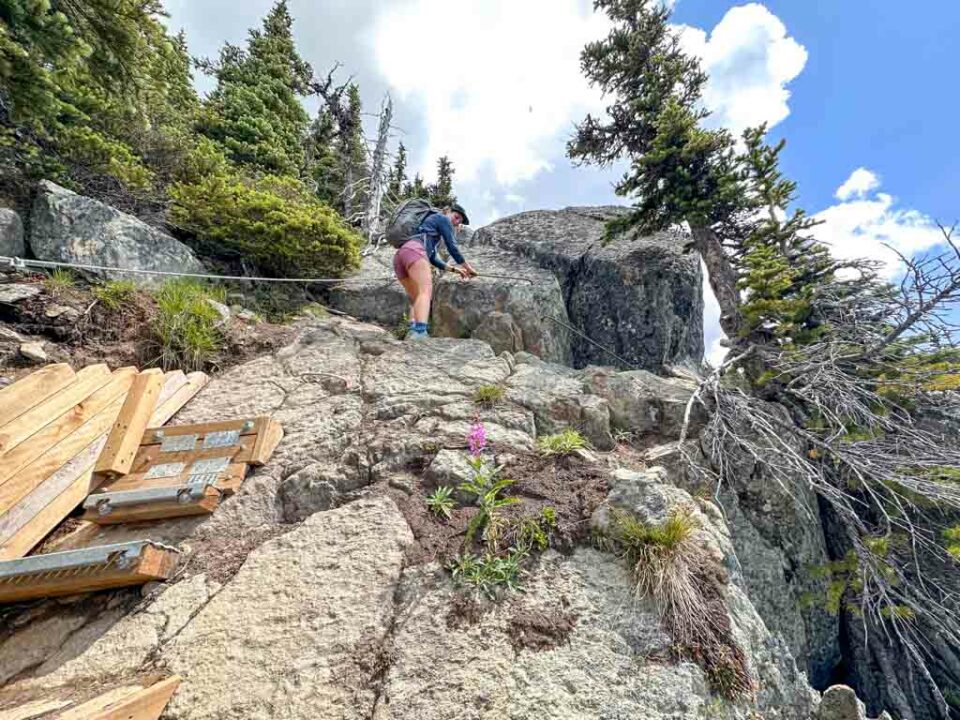 High Note Trail in Whistler (By a Season's Pass Holder)