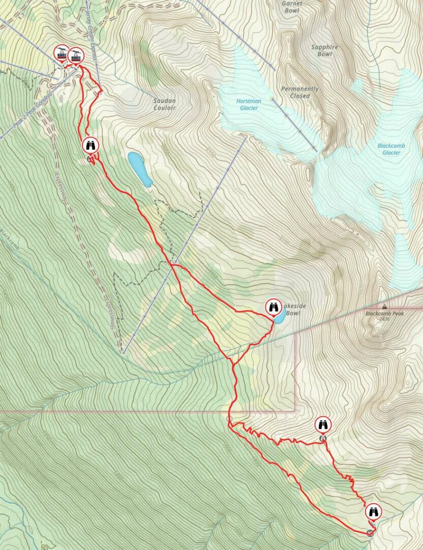 Blackcomb Hiking Trails in Whistler (By a Season's Pass Holder)