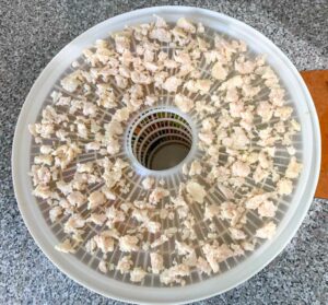 Dehydrating Food For Backpacking: A Beginner's Guide