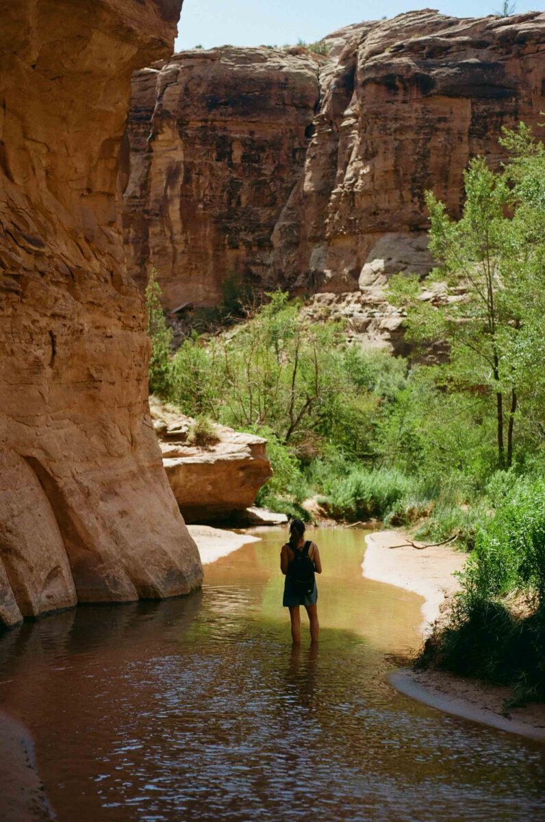 15 Best Easy Hikes in Moab