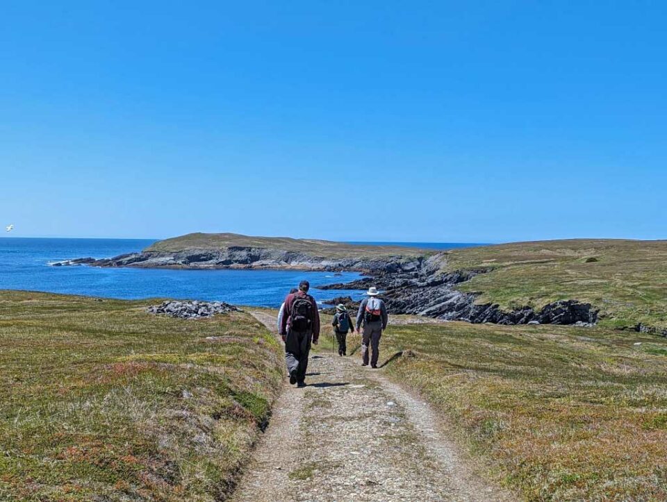20 Incredible Things to Do in Newfoundland