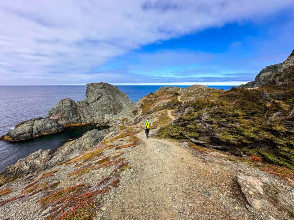 10 Things To Do in Twillingate, Newfoundland