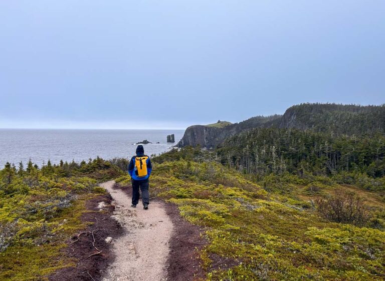 16 Best Hikes in Newfoundland