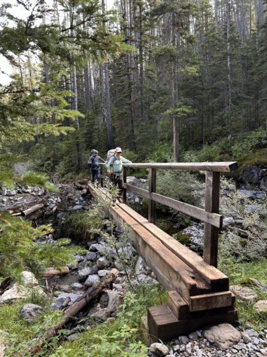 Egypt Lake in Banff Hiking and Backpacking Guide