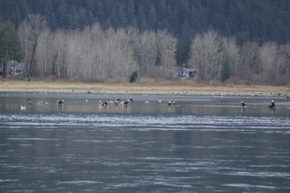 Visiting Harrison Hot Springs in Winter