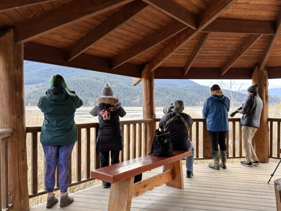 Visiting Harrison Hot Springs in Winter