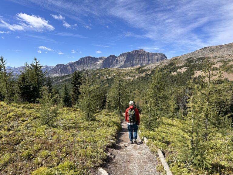 Hiking at Sunshine Meadows in Banff - Is it Worth It?