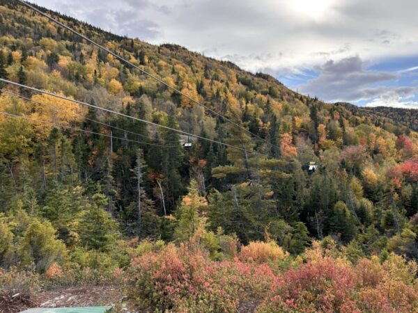 Things to Do in Corner Brook, Newfoundland